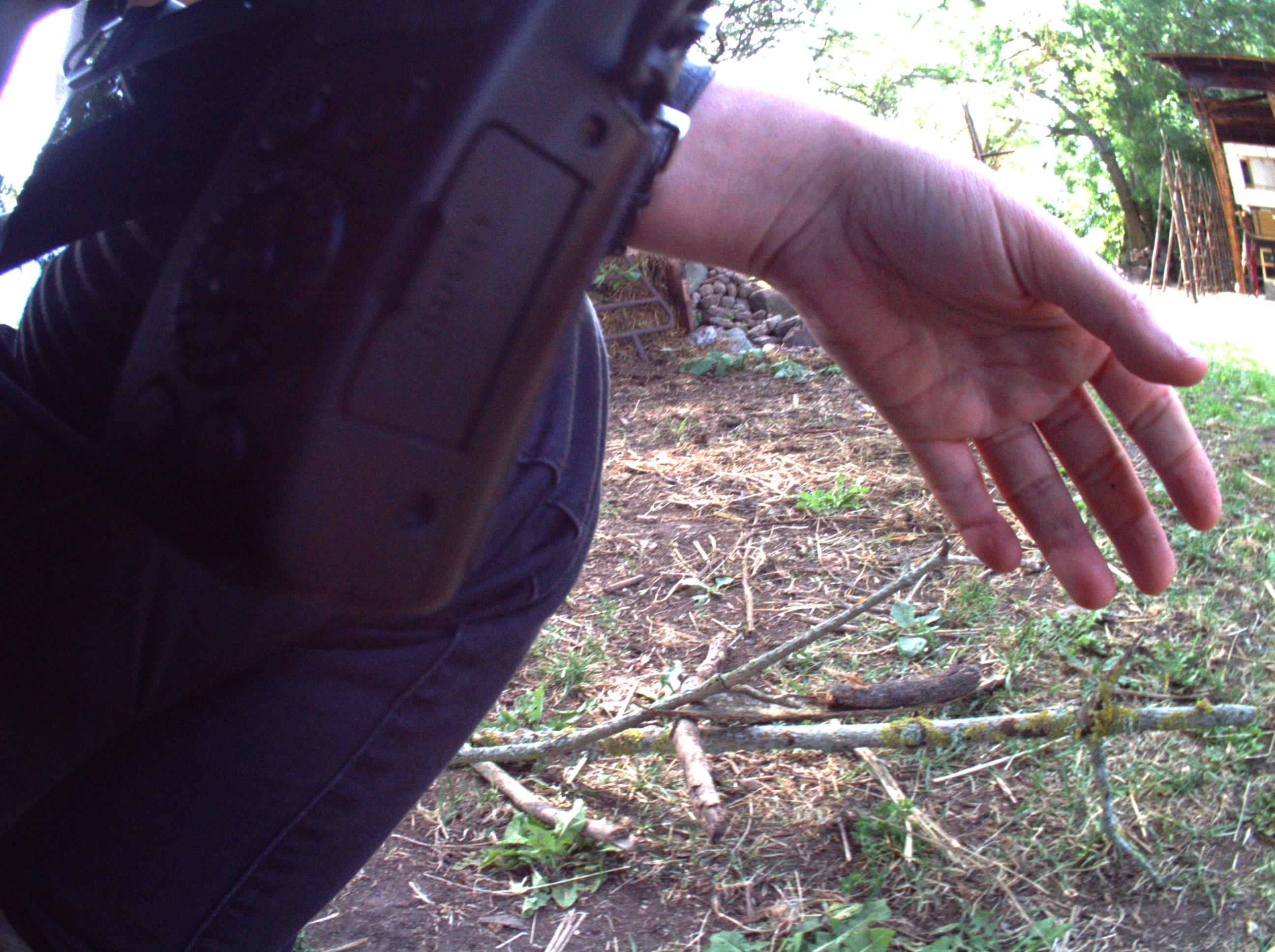 Talk: Dr Julie Crawshaw – Practice, placements, and planning – Friends ...